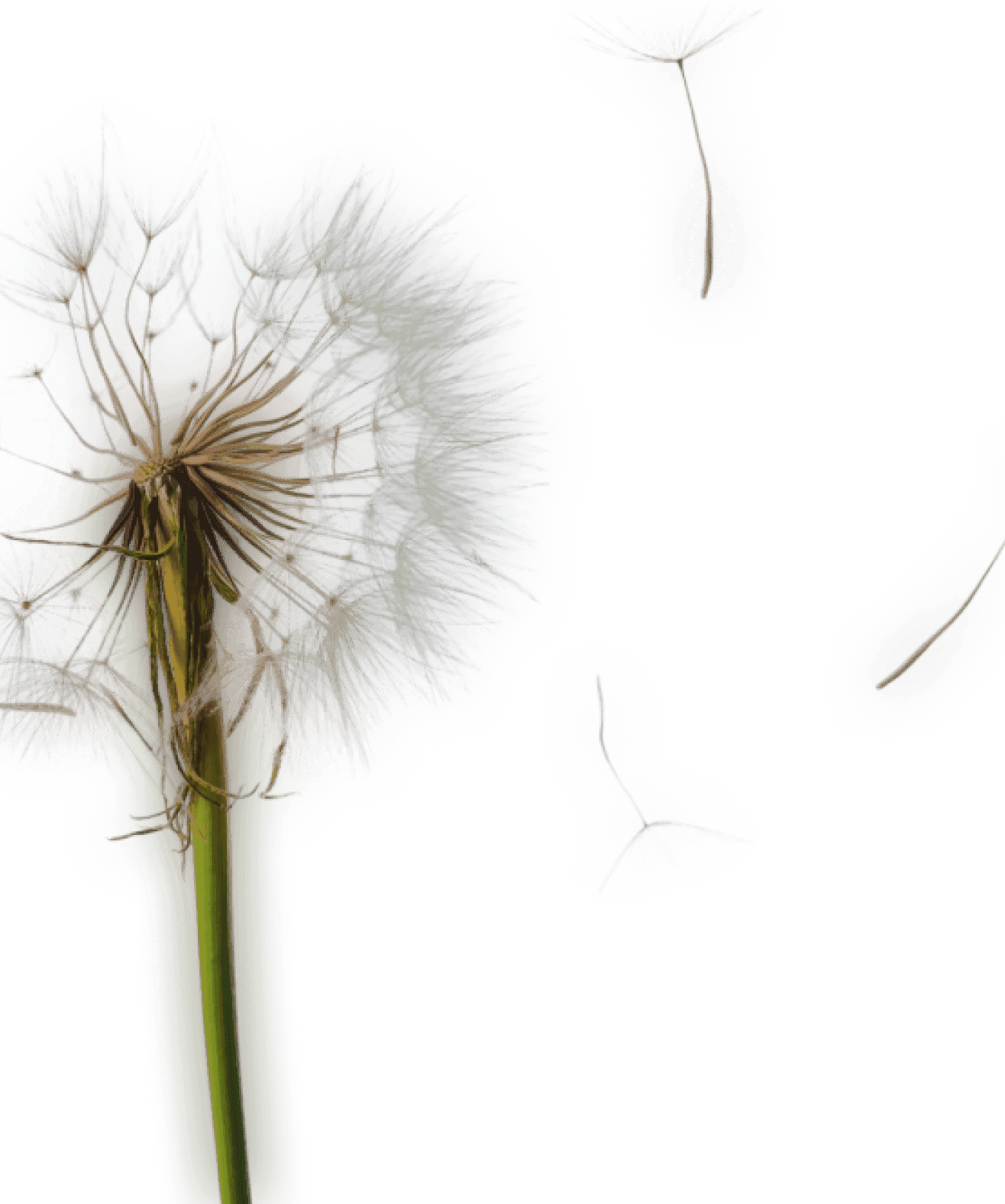 Online Pharmacy, Prescription Savings & Telehealth